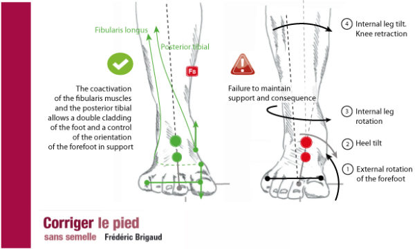Fig.-5-Compensatory-movements | EAD-concept